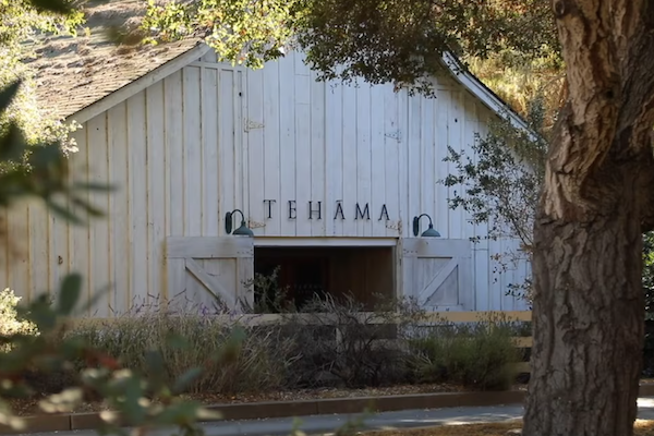 Architect Alan Williams Reveals What Makes Teháma Different - Tehama